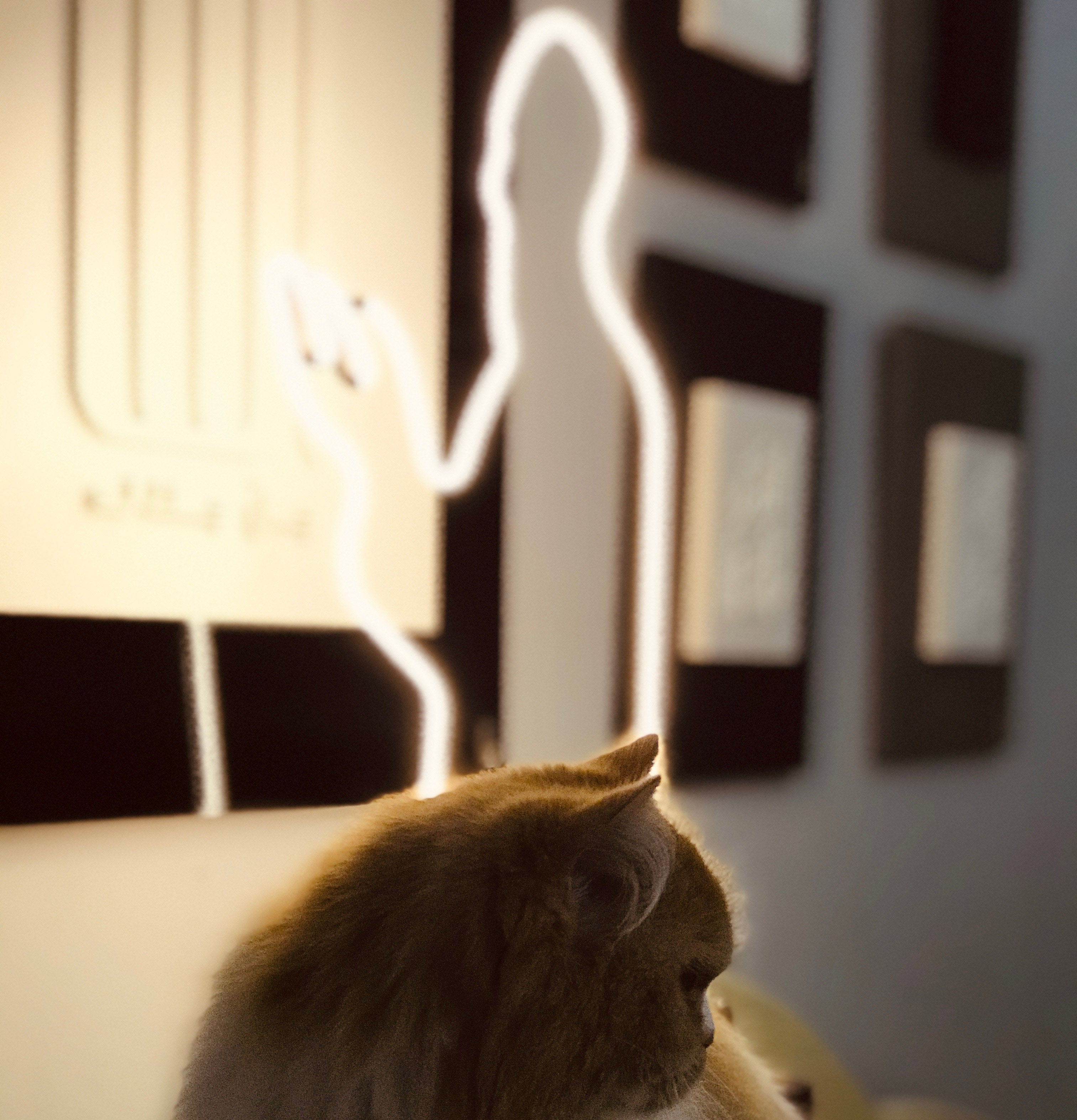 Modern Arabic Islamic Decoration – wasf decoration